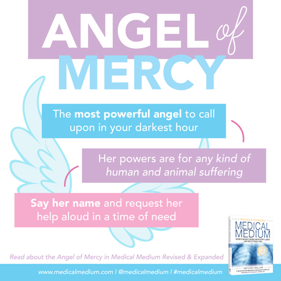 Medical Medium Angels