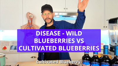 Medical Medium: Disease - Wild Blueberries Vs Cultivated Blueberries